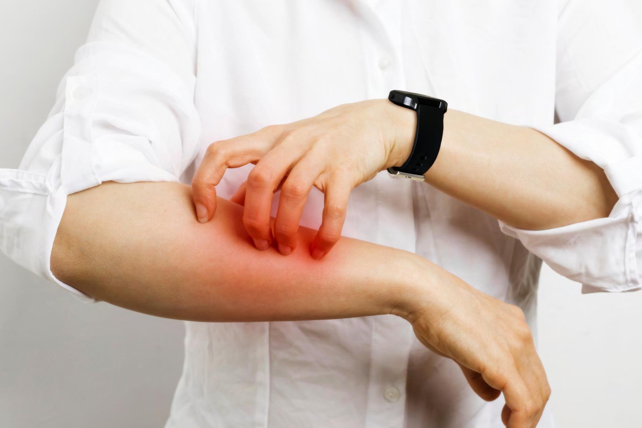 DECODE: Nocturnal Scratch | Ametris